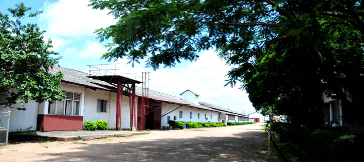 NASCO Pack — NASCO Group